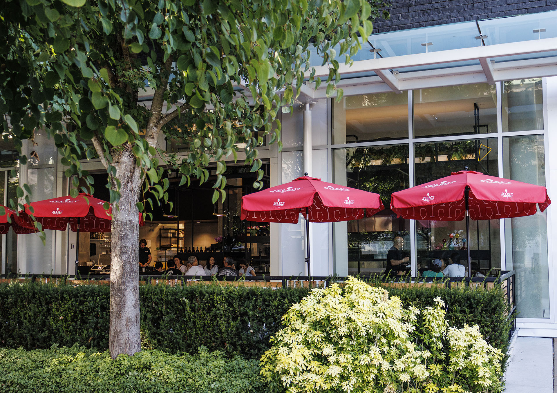 All Abuzz about Pizza, Nachos, and Pulled Pork - The Campus Resident